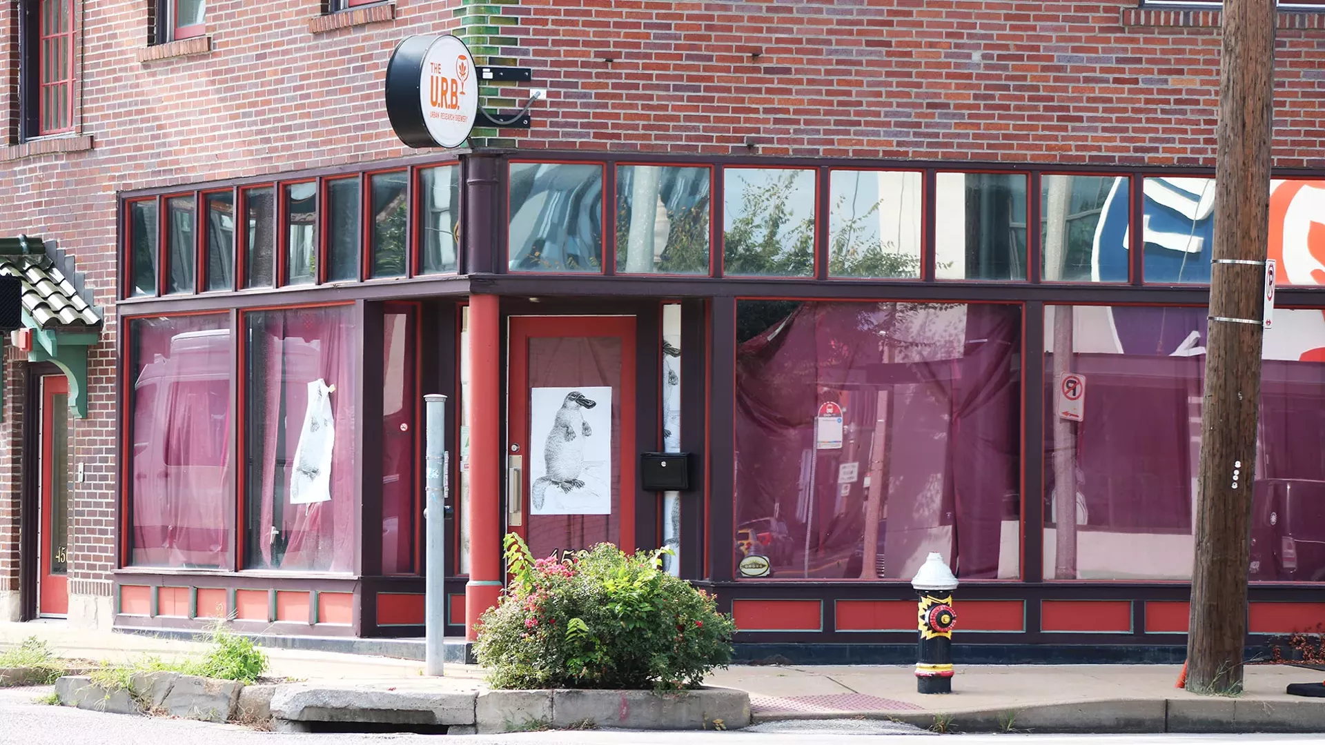 Tony Saputo and Meredith Barry to open new bar Platypus in The Grove